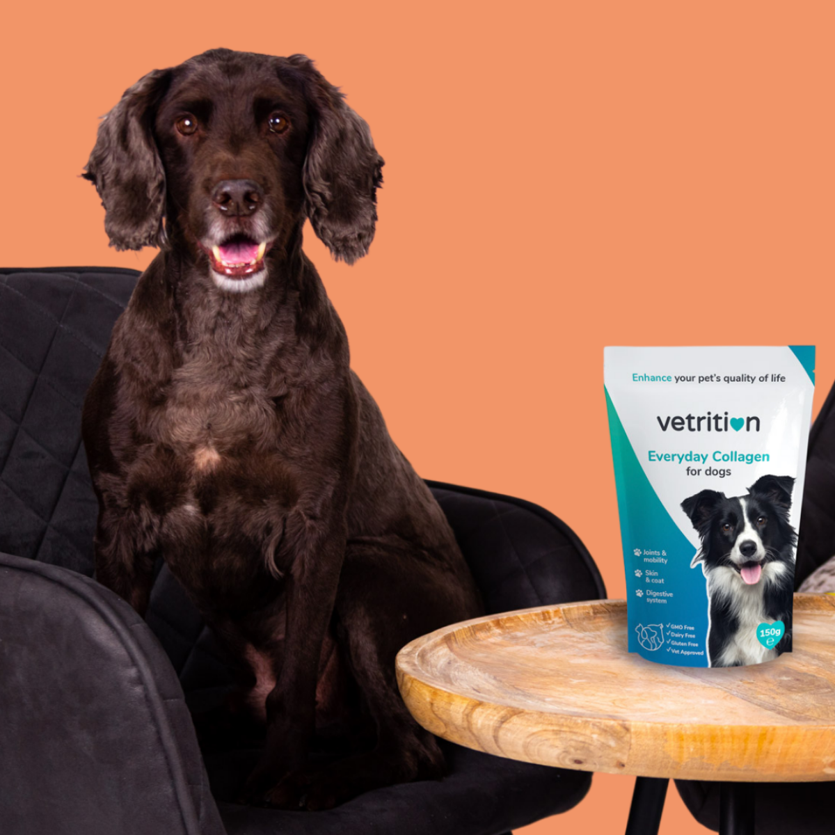 Welcome to the Pack | Vetrition Blog | James Greenwell